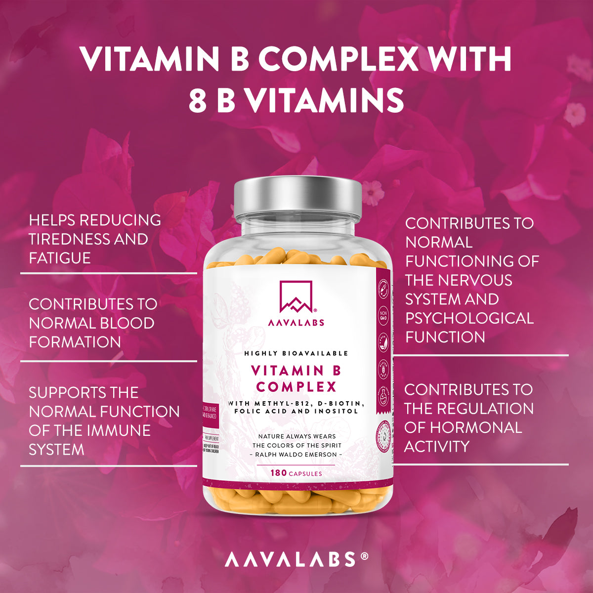 Brain Support Bundle - Omega 3, Zinc & B Complex | AAVALABS