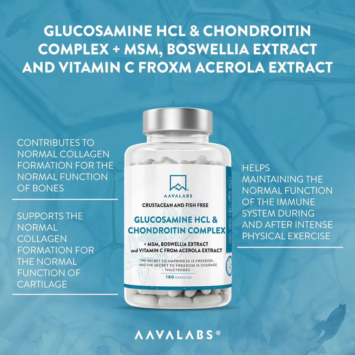 Glucosamine Complex with Chondroitin & MSM | AAVALABS